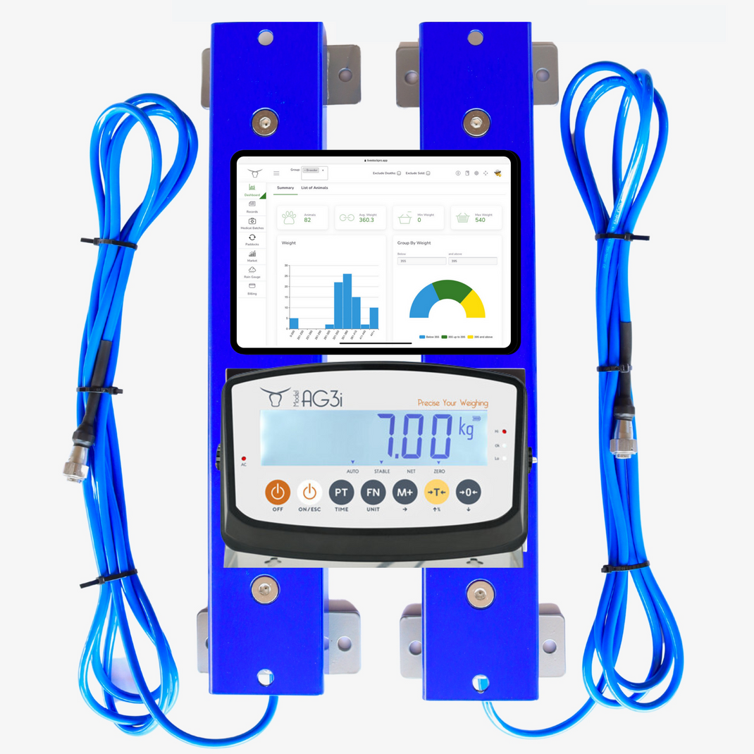 Cattle Scales Australia – Bluetooth & Digital Livestock Scales ...